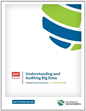 GTAG: Understanding and Auditing Big Data | The IIA