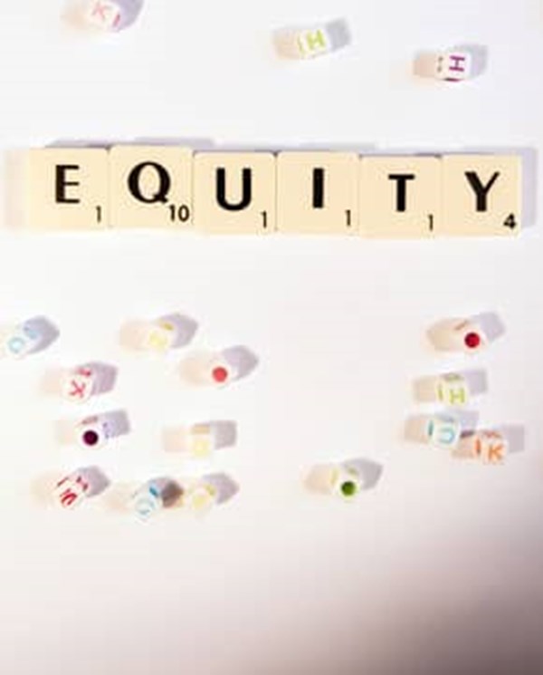 The Importance of Auditing Equity Factors in the Public Sector
