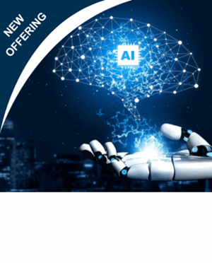Auditing Artificial Intelligence (AI): A Hands-On Course for Internal ...