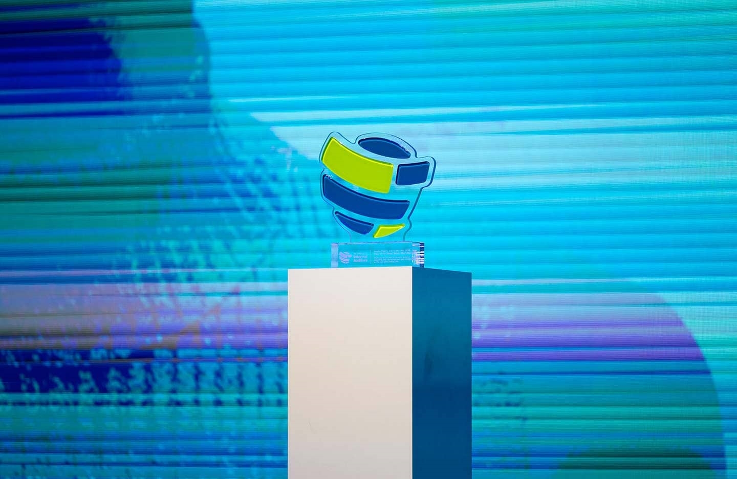 About The Institute of Internal Auditor | The IIA