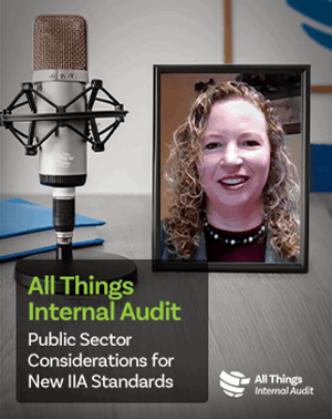Public Sector Considerations for New IIA Standards
