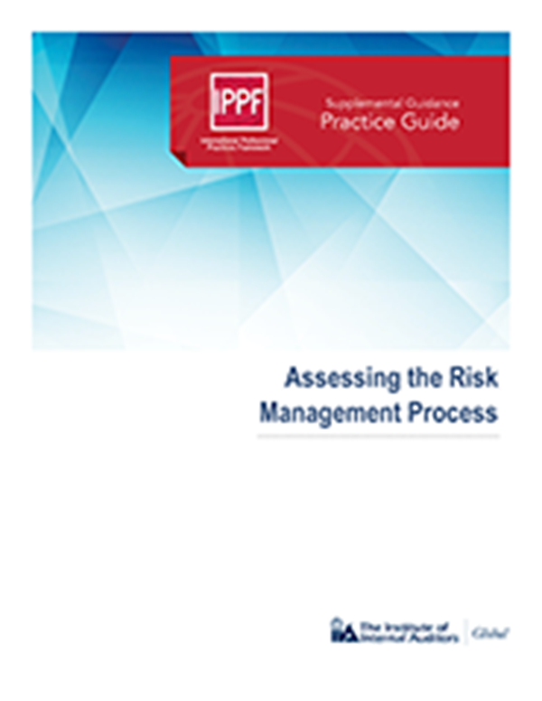 Assessing the Risk Management Process