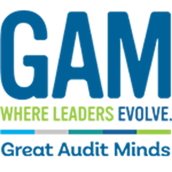 Great Audit Minds