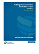 Auditing Procurement in the Public Sector | Practice Guide