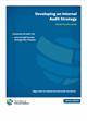 Developing the Internal Audit Strategy | The IIA