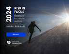 Risk in Focus