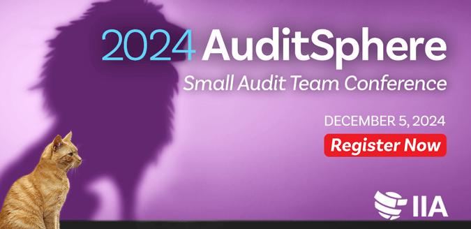 Home | The Institute of Internal Auditors | The IIA