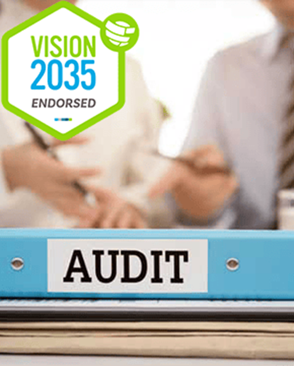 Tools for Lead Auditors