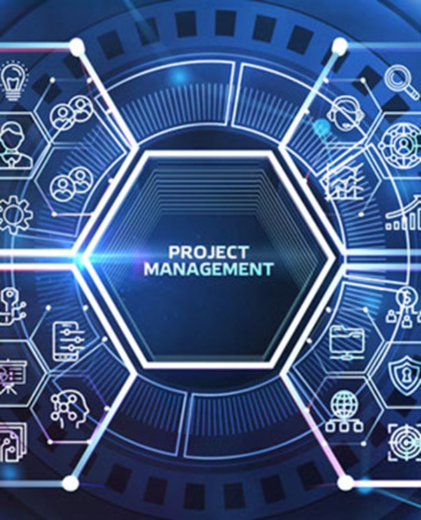 Auditing Project Management Practices