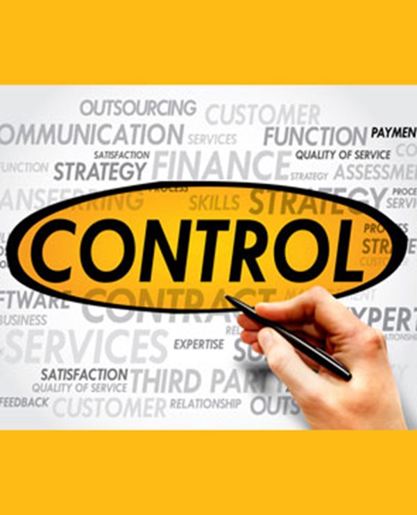 Internal Control Frameworks