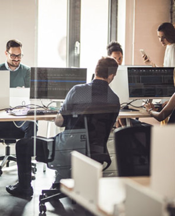 Understanding the SDLC